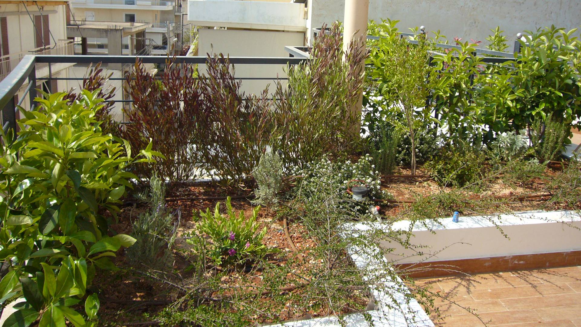 Φυτεμένο δώμα στο Ίλιον - Simple Green