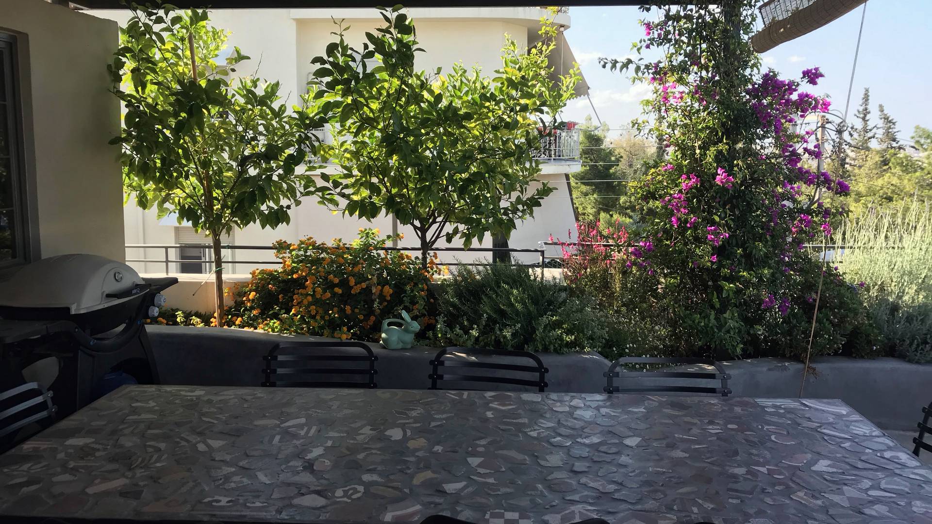 Φυτεμένο δώμα σε οικία στα Άνω Πετράλωνα - Simple Green